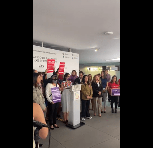 Elena Ríos presenta ante el Senado, Ley Malena, para tipificar ataques ...